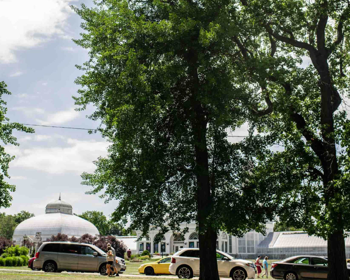 TREEventure Around South Park | Buffalo Olmsted Parks Conservancy