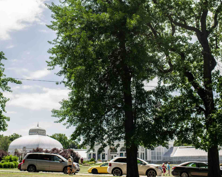 TREEventure Around South Park | Buffalo Olmsted Parks Conservancy