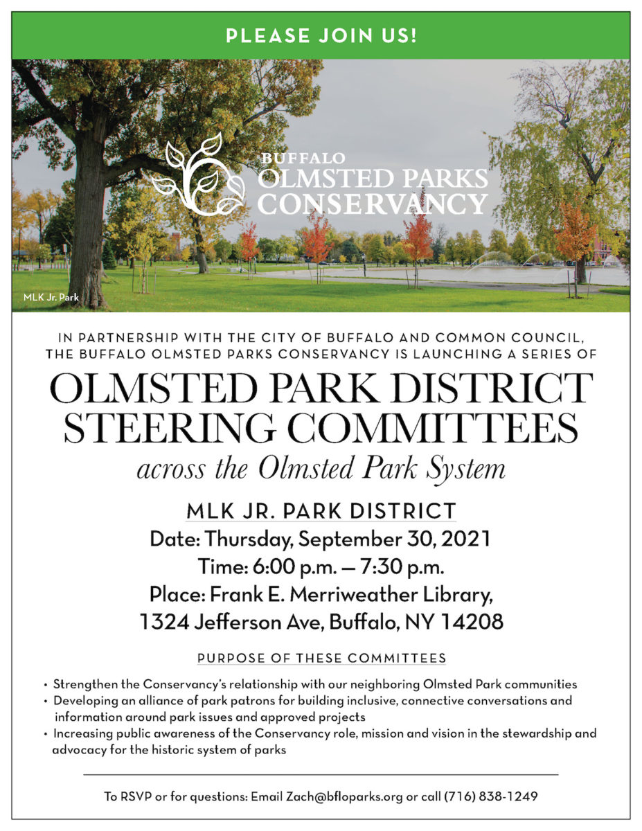 Olmsted Park District Steering Committee Meeting – MLK Jr. |Events ...