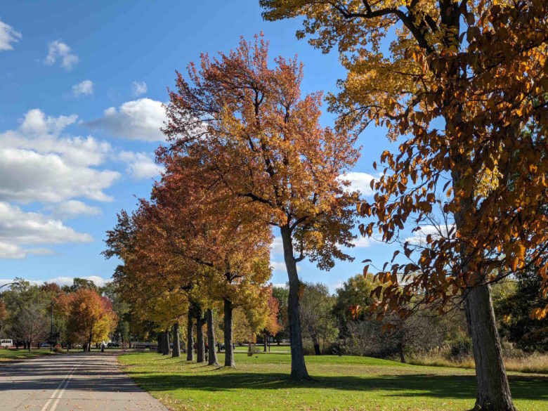 Buffalo Olmsted Parks Conservancy Seeks Consultant for National ...